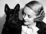 TINTYPE TUESDAY: Bette Davis’s Unrequited Love Affair—With Dogs ...