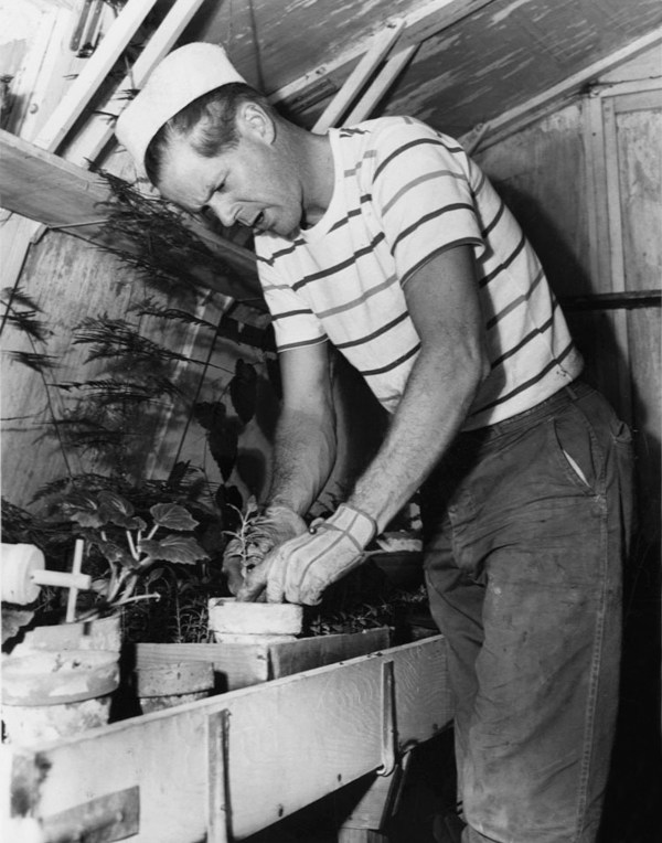 TINTYPE TUESDAY: Dan Duryea — Gardener and Cub Scout Leader! | Sister ...